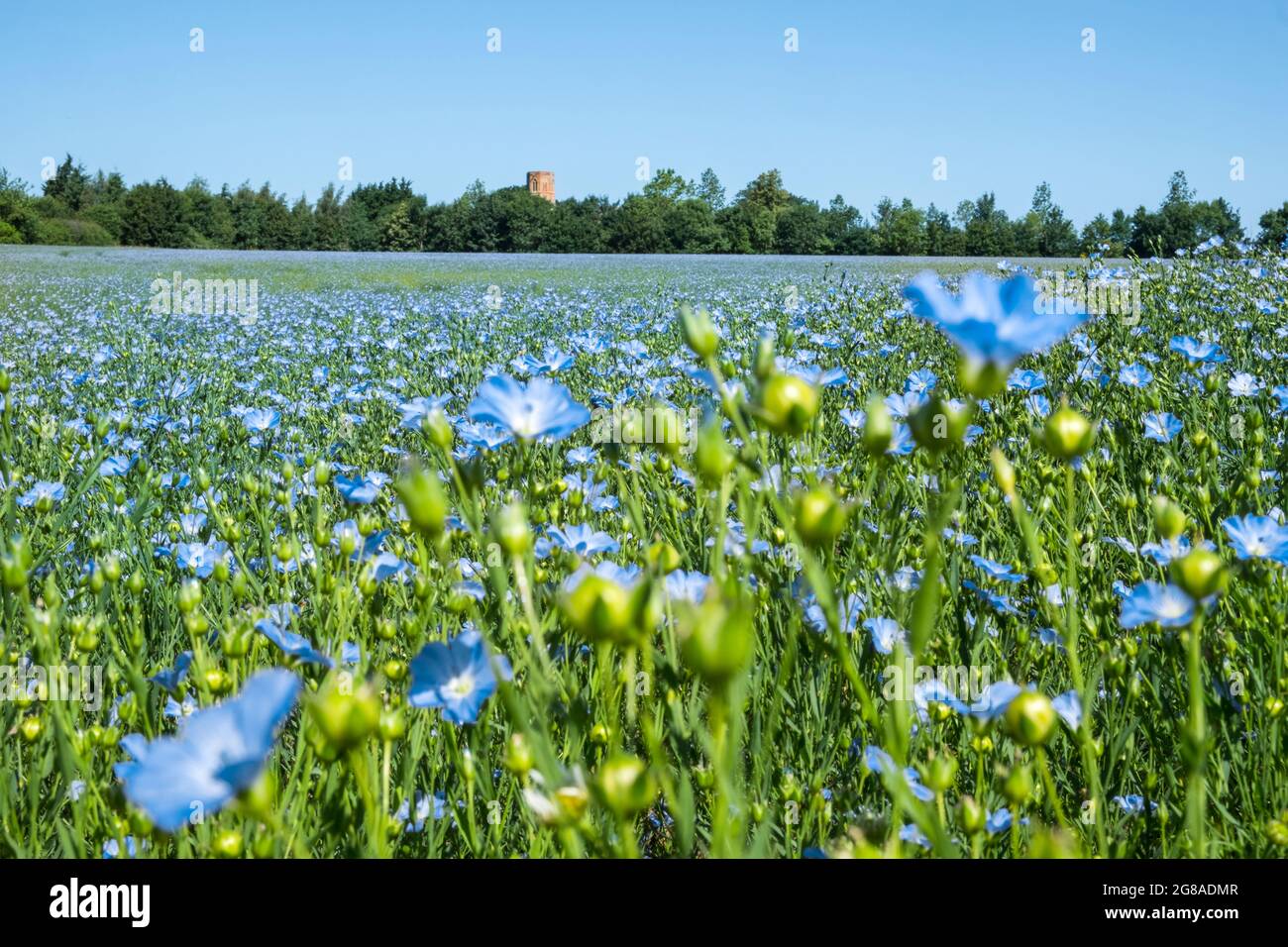 Oil farming hi-res stock photography and images - Alamy