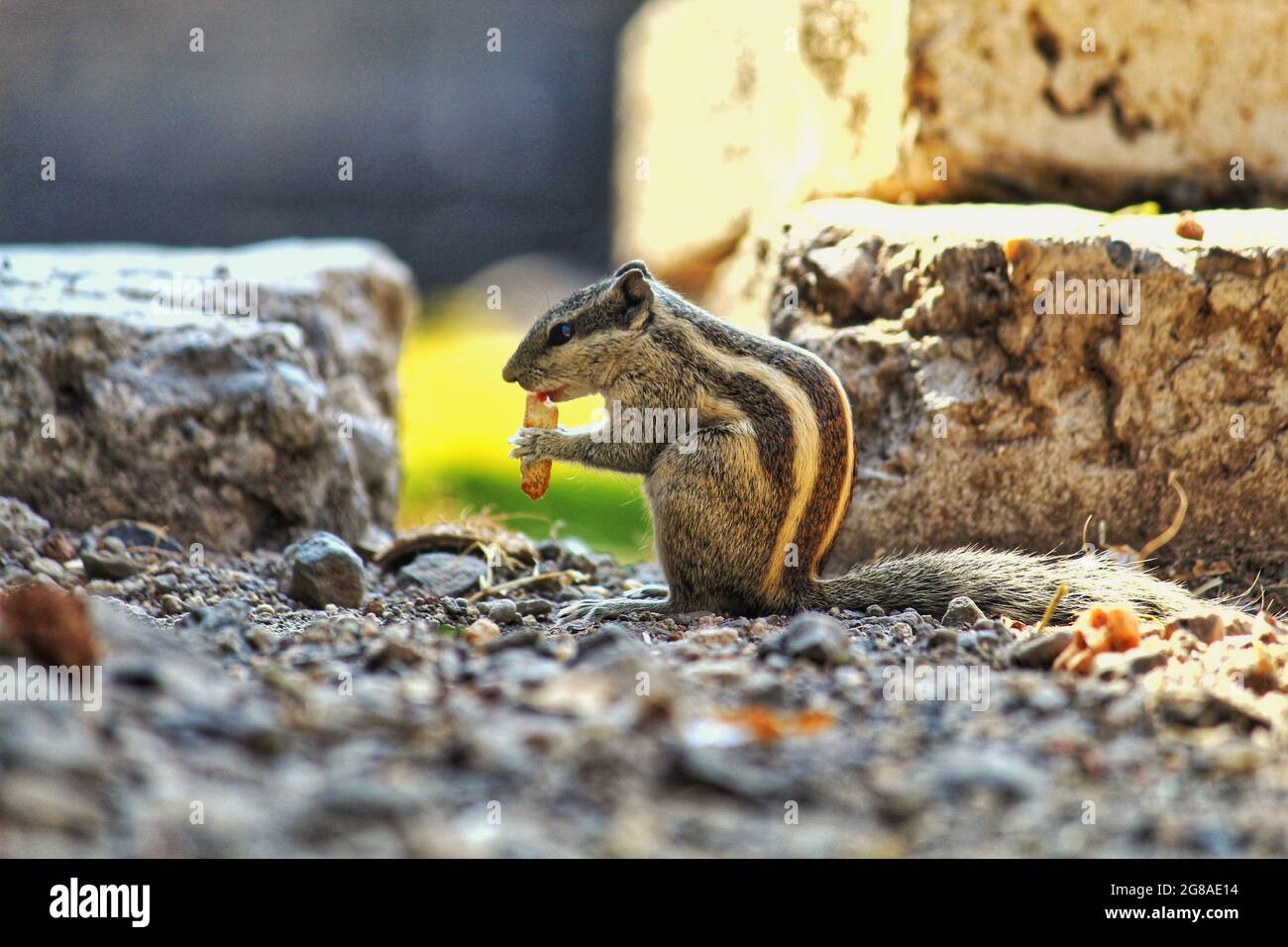 Kharutai hi-res stock photography and images - Alamy