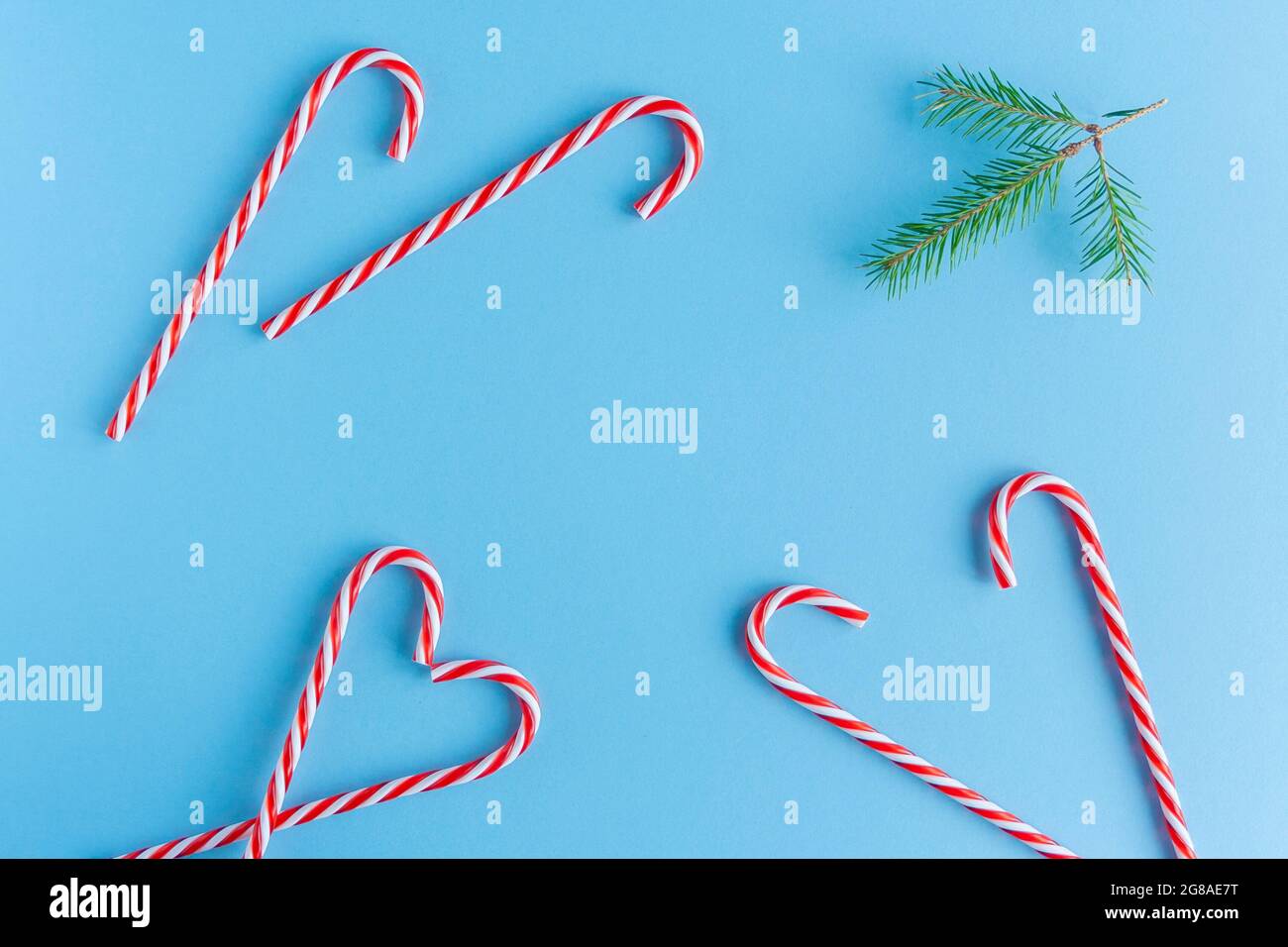 Christmas candy canes and fir branches flat lay Stock Photo - Alamy