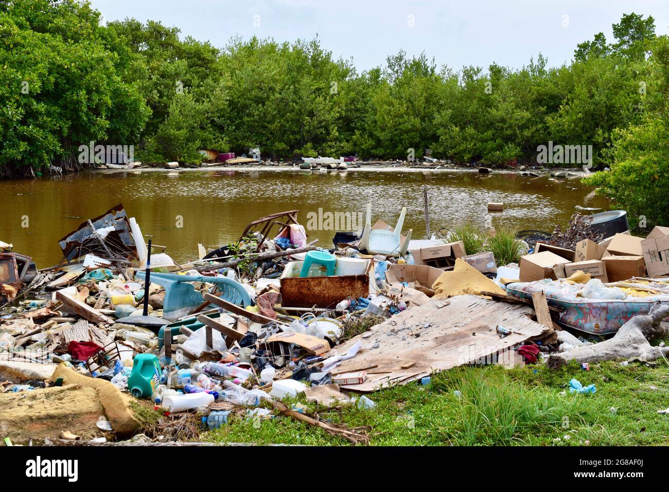 Trash dumping in the mangrove on Ambergris Caye, Belize Stock Photo - Alamy