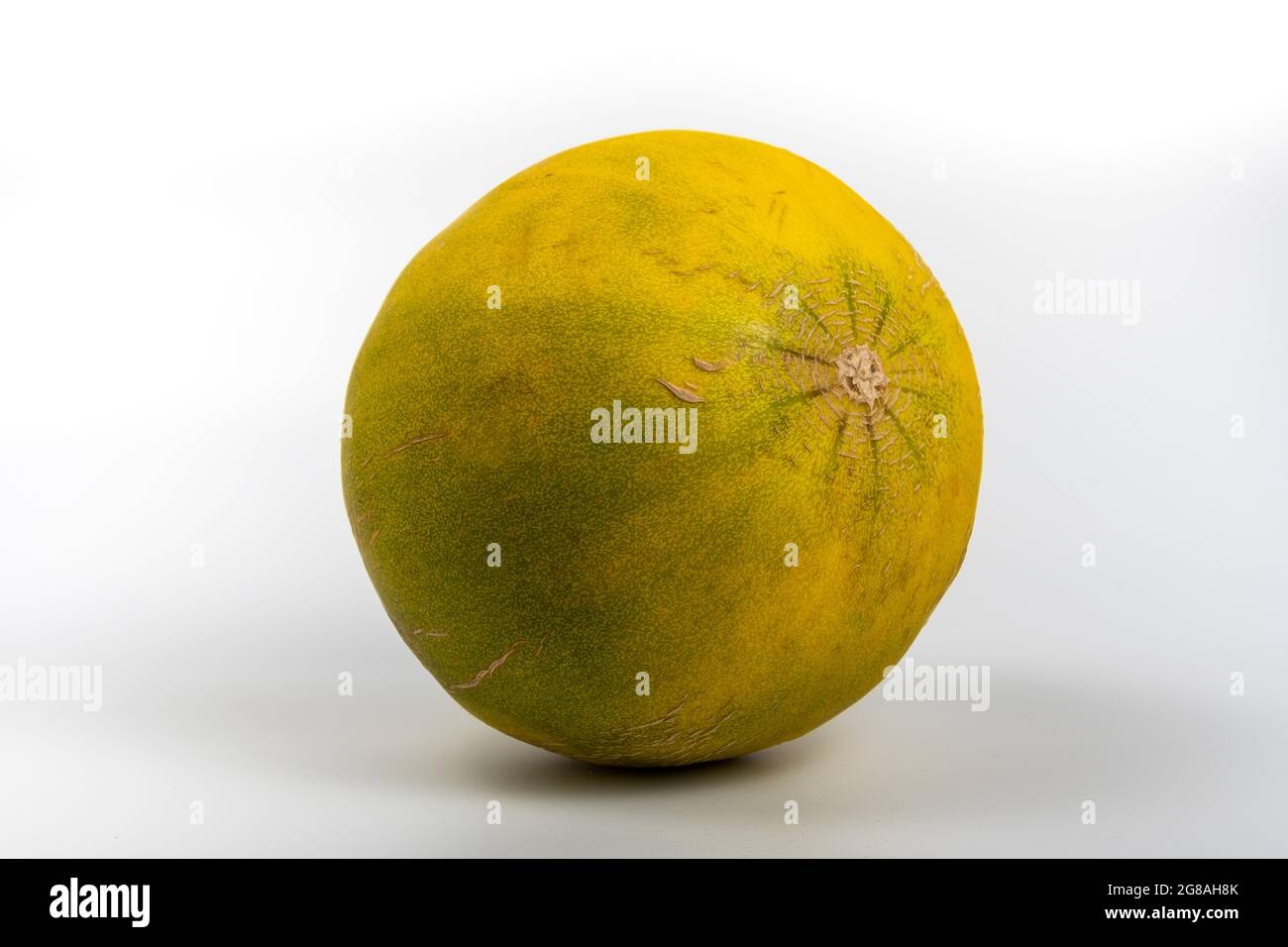 New hybrid hi-res stock photography and images - Alamy