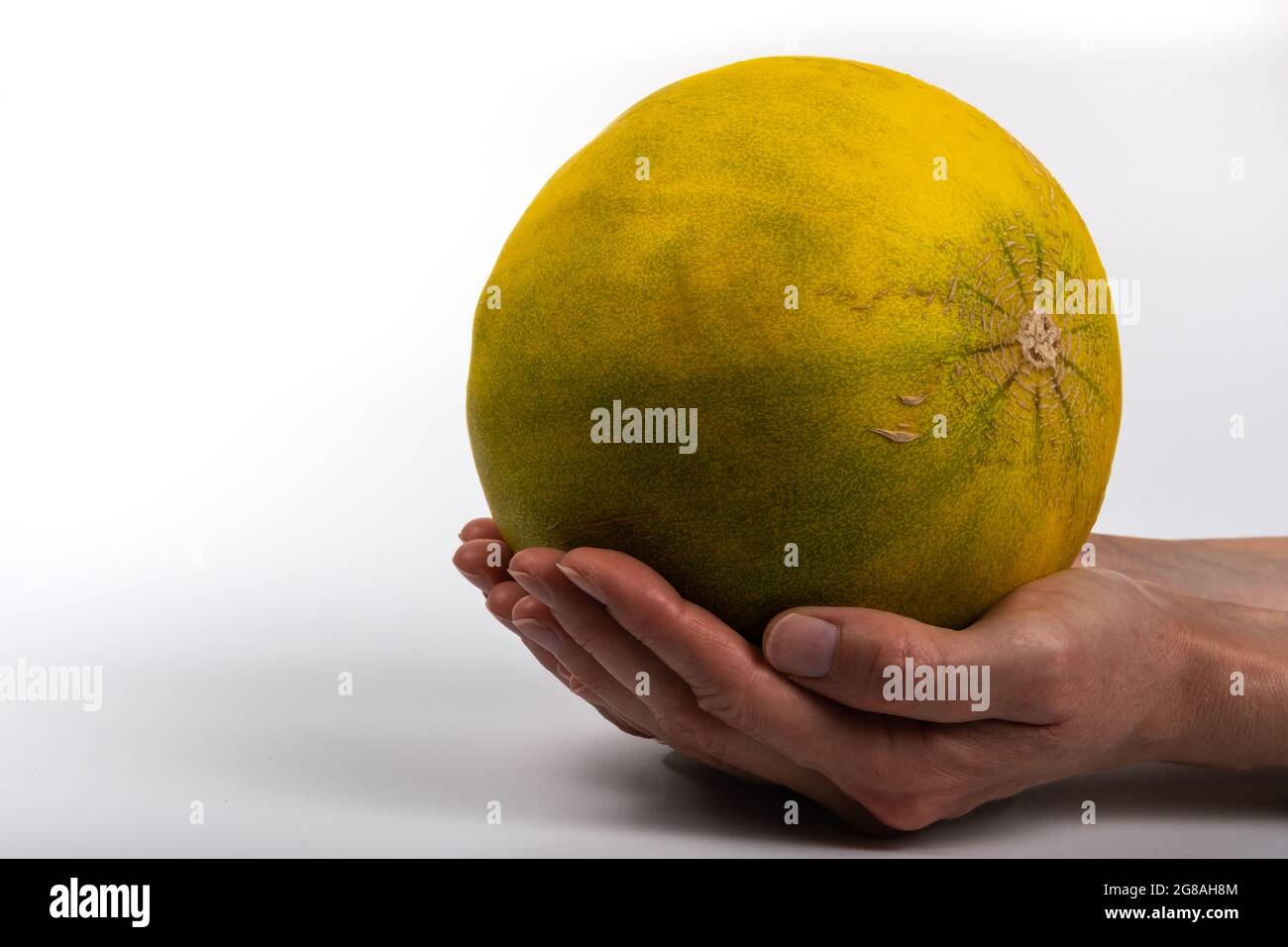 Limelon fruit hold in hands isolated on white. Limelon is a New Hybrid ...