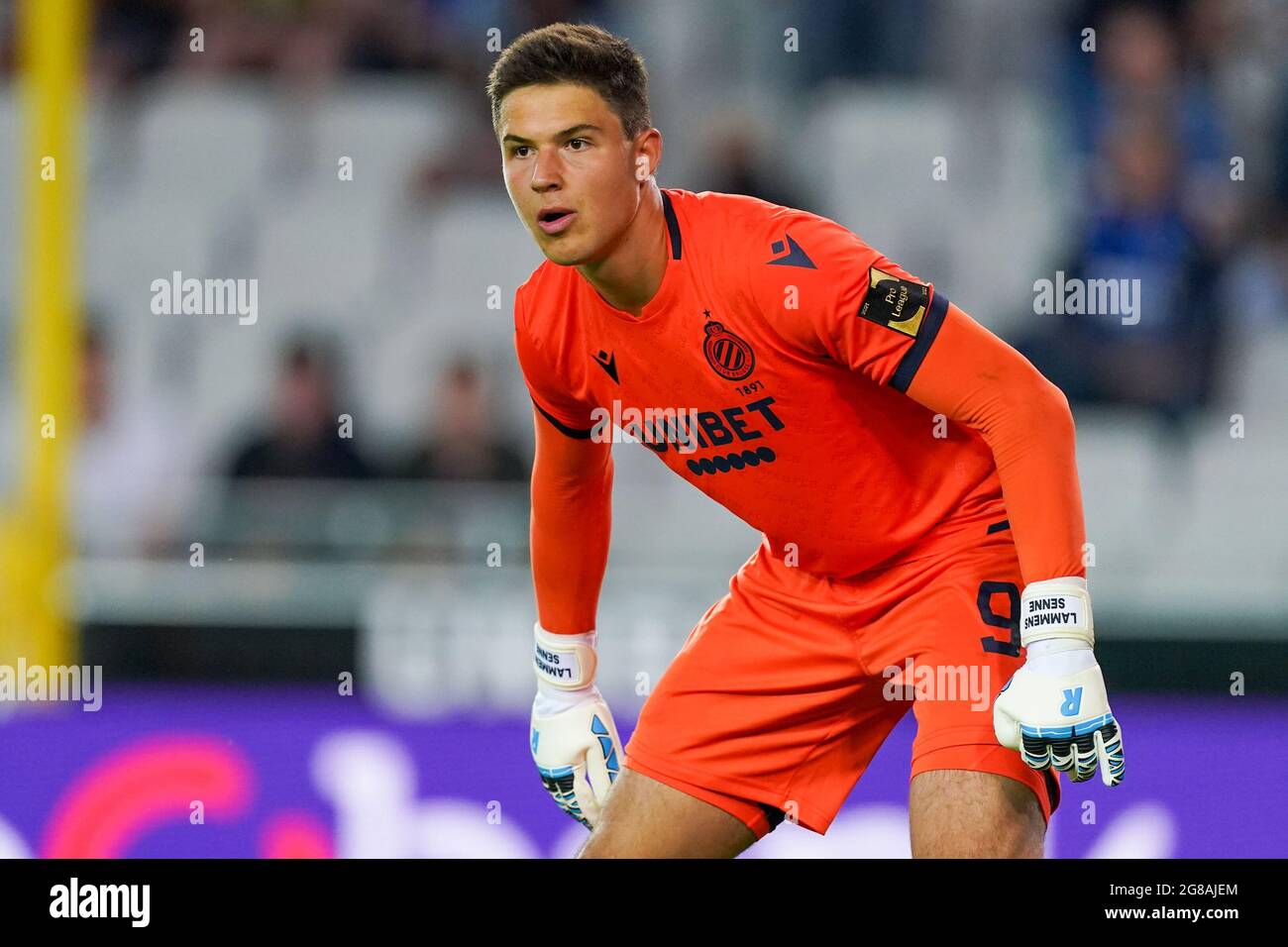 Senne lammens hi-res stock photography and images - Alamy