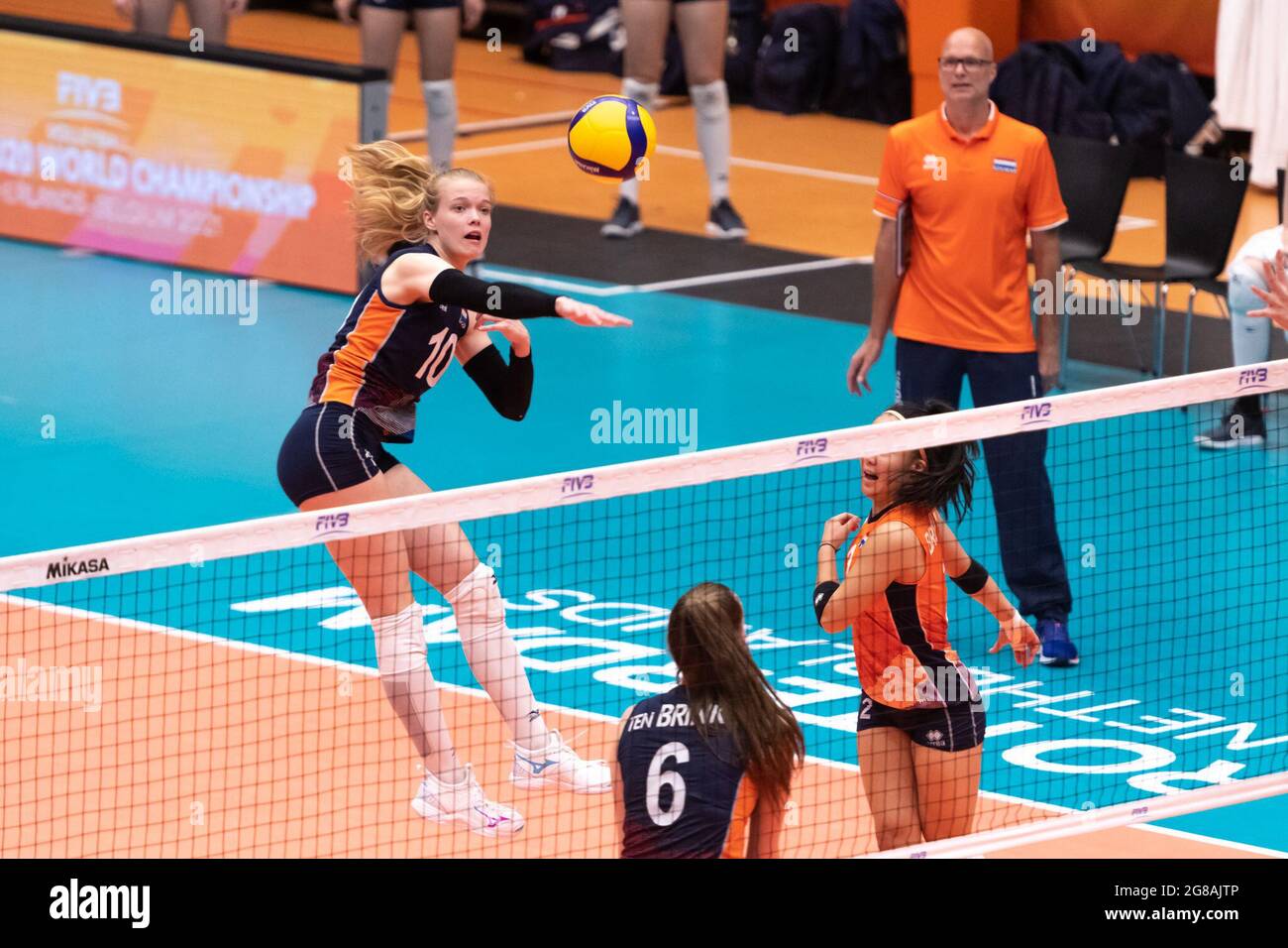 Iris vos hi-res stock photography and images - Alamy