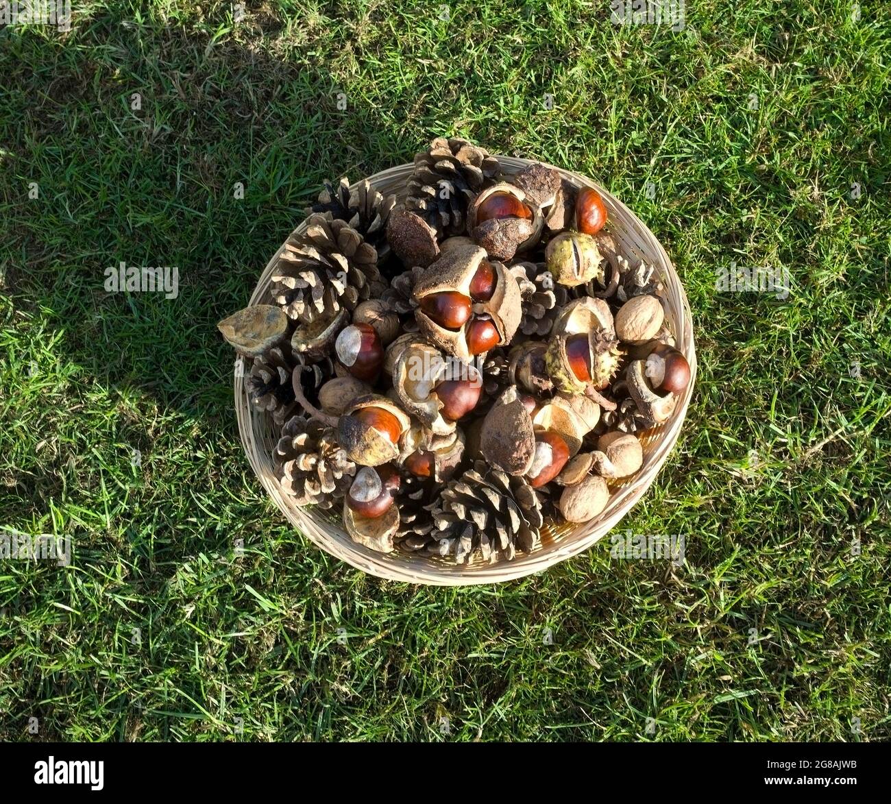 Cob nuts hi-res stock photography and images - Alamy