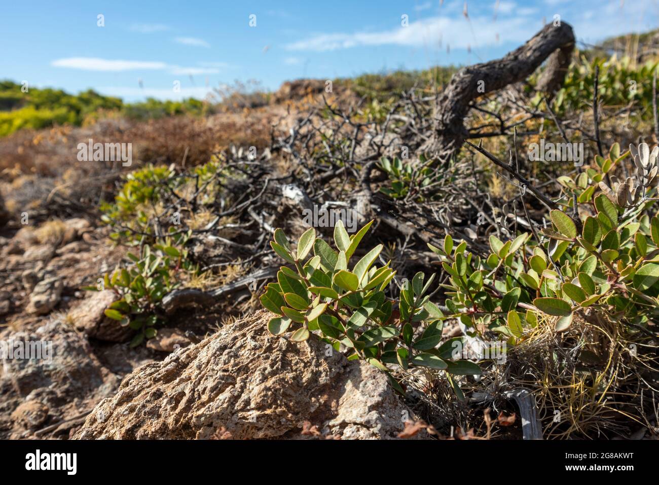 Rural greece hi-res stock photography and images - Alamy