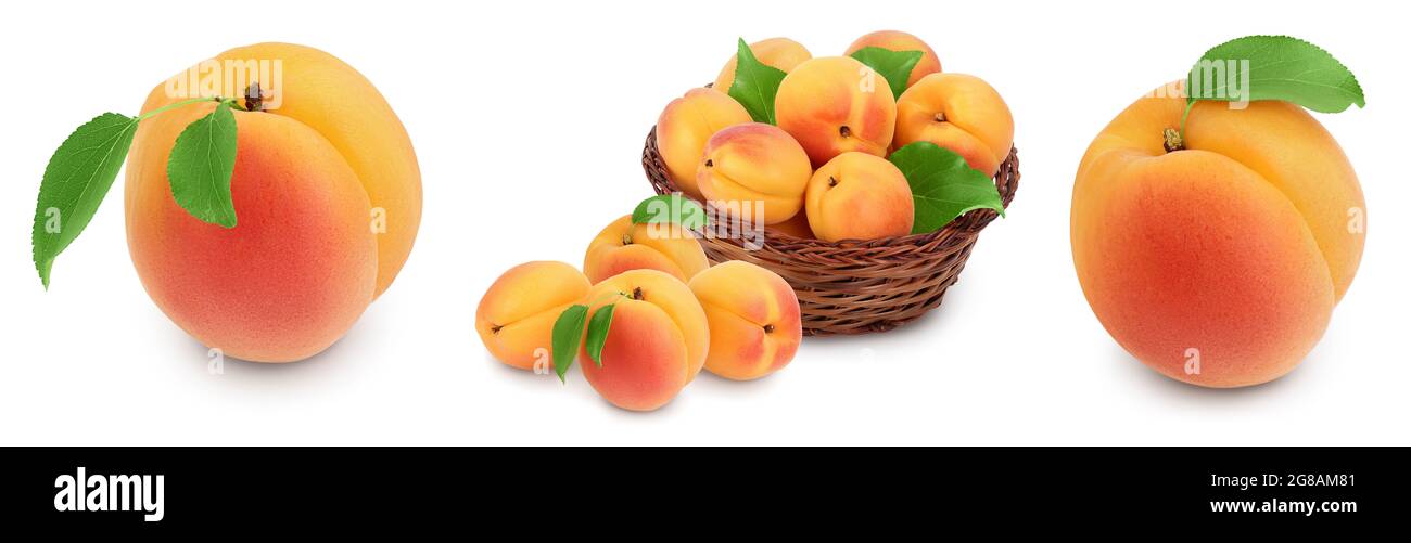 apricot fruit with half and slices isolated on white background with ...