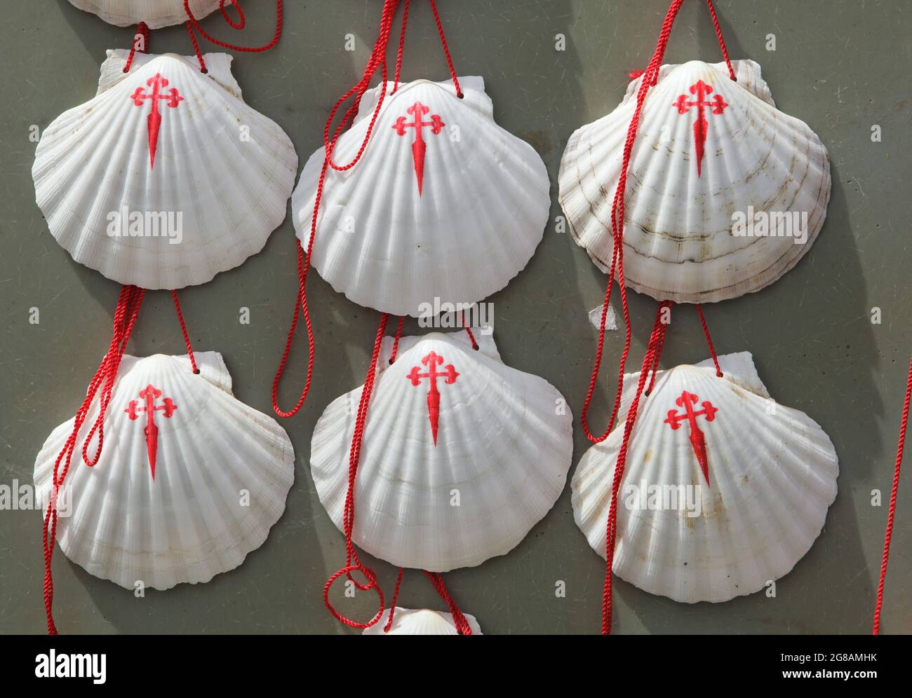 Camino de Santiago (Way of Saint James). Scallop shells decorated with ...