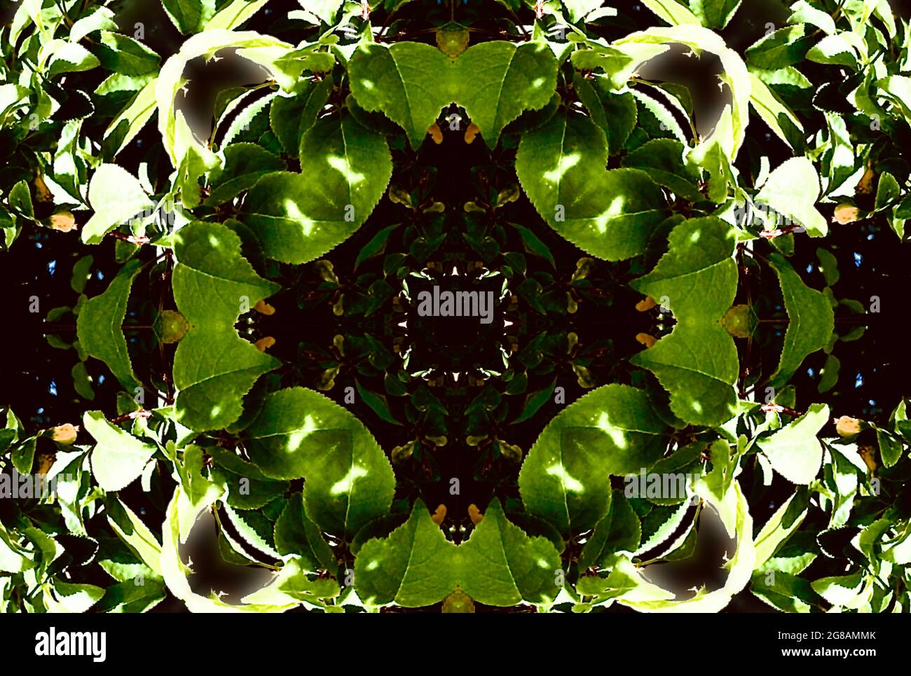 Kaleidoscope wallpaper hi-res stock photography and images - Alamy
