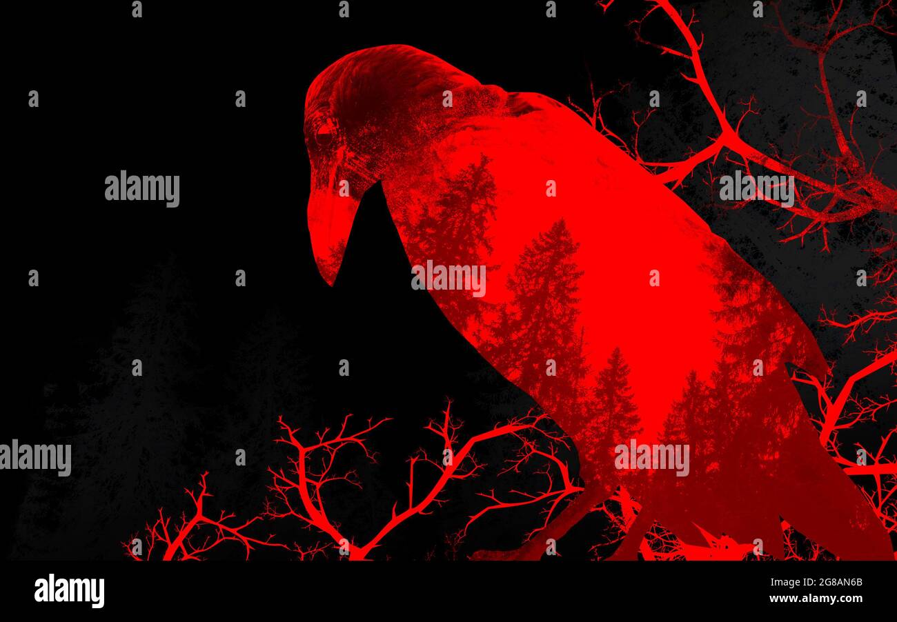Collage grunge styled red toned crow photo with forest and branches ...