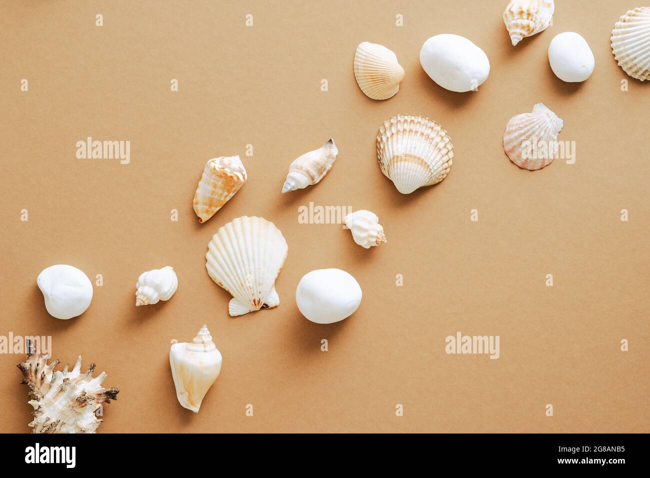 Flat lay composition with seashells on sand colored background. Summer ...
