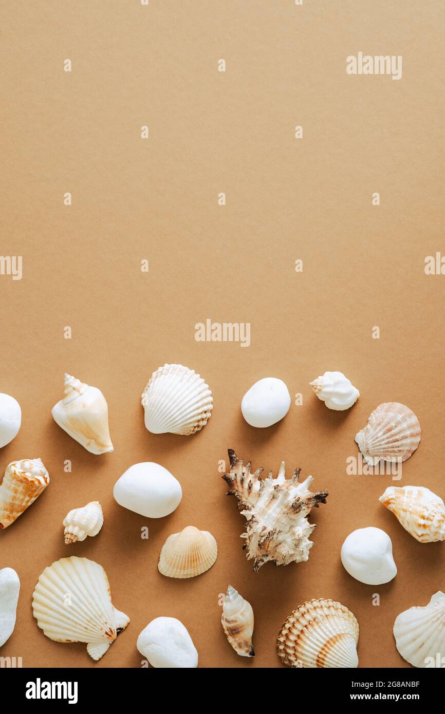 Seashells frame border on sand colored background. Flat lay, top view ...