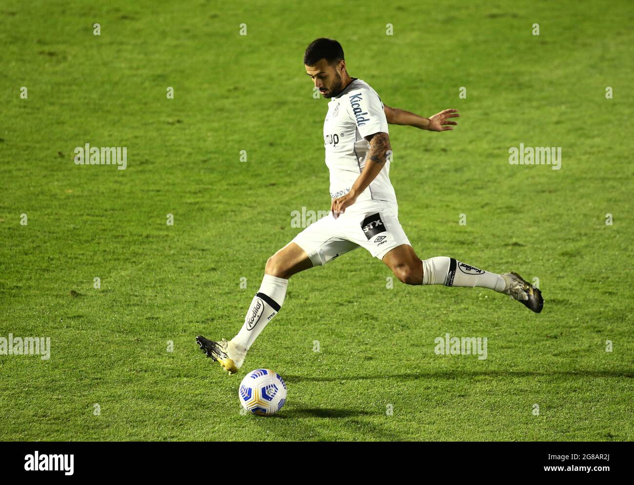 Guilherme Camacho High Resolution Stock Photography and Images - Alamy