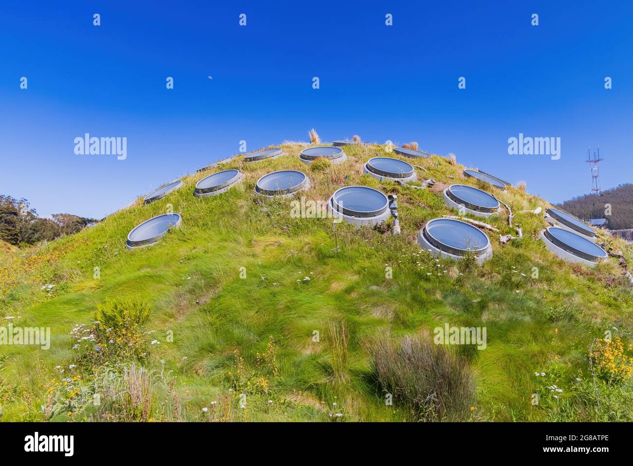 Meadow roof of the California Academy of Sciences at California Stock ...
