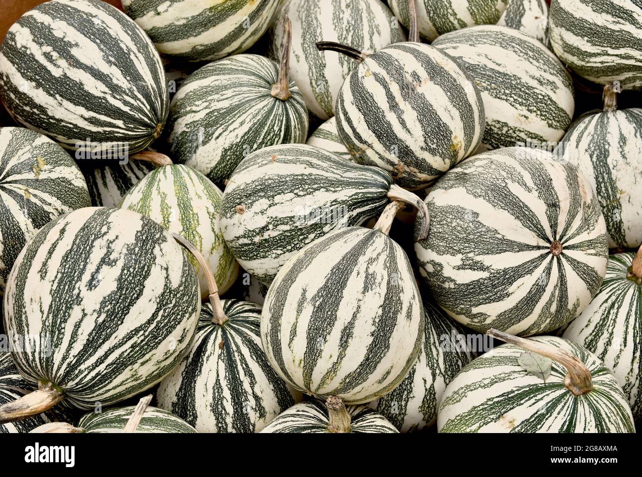 Edge coloring hi-res stock photography and images - Alamy