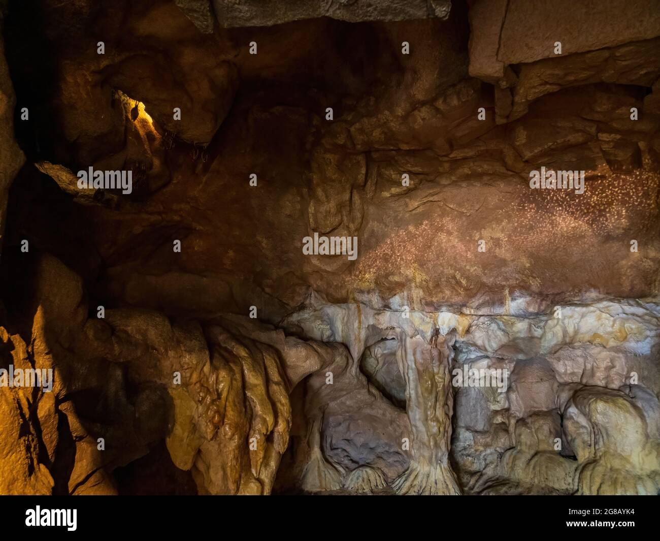 California rainforest hi-res stock photography and images - Alamy