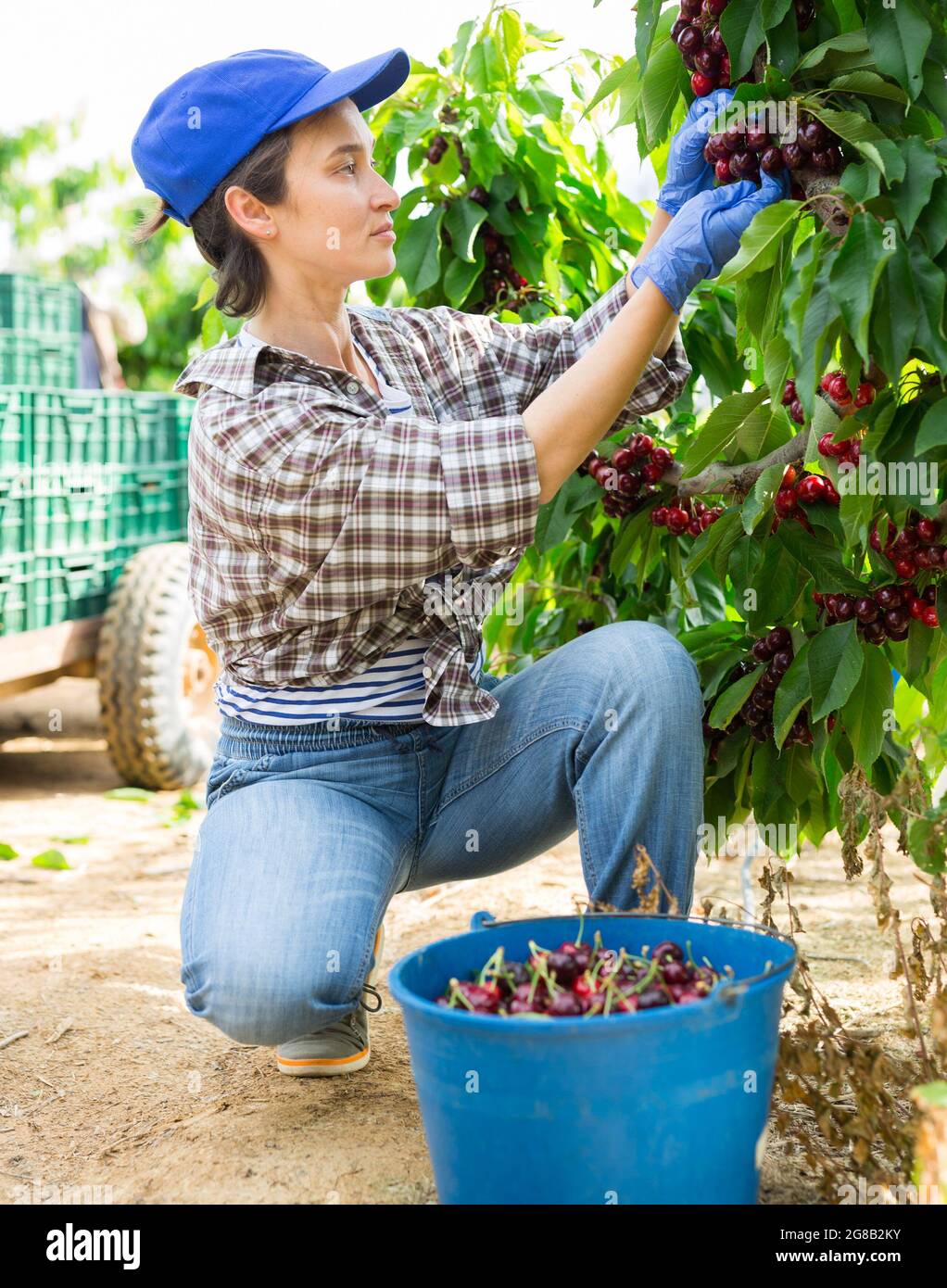 Plantproduct hi-res stock photography and images - Alamy