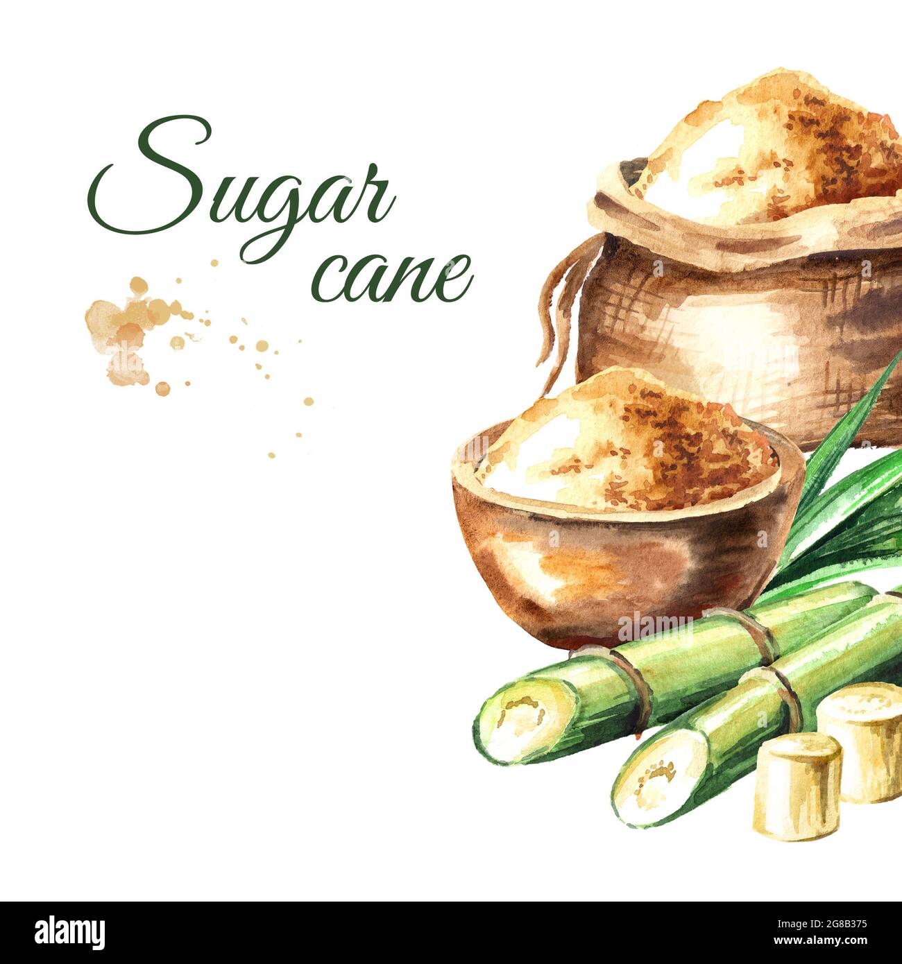 Brown sugar card. Watercolor hand drawn illustration isolated on white ...