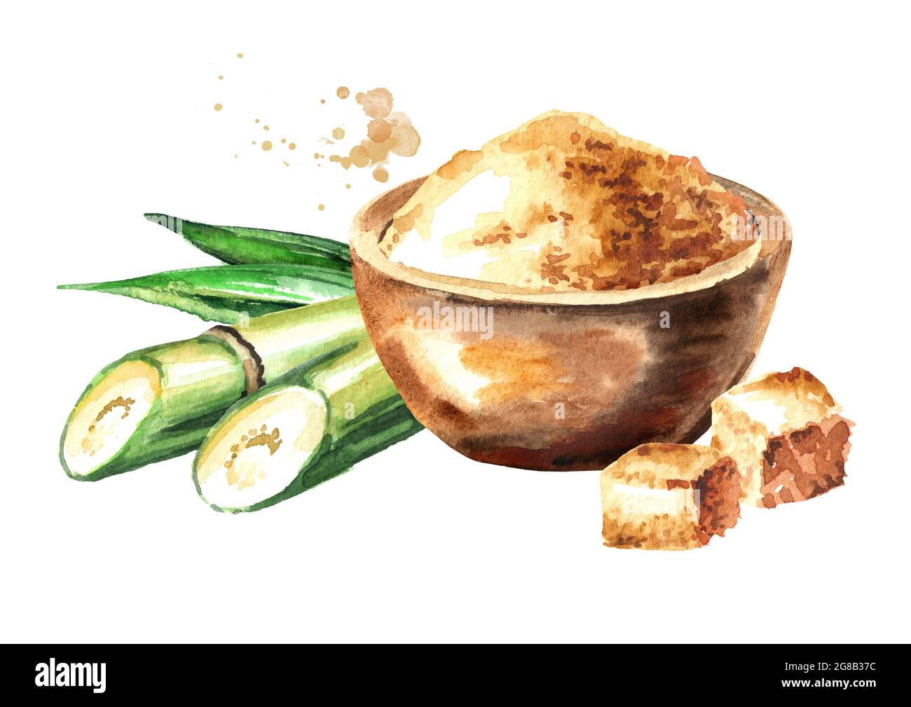 Brown sugar with sugar cane. Watercolor hand drawn illustration ...