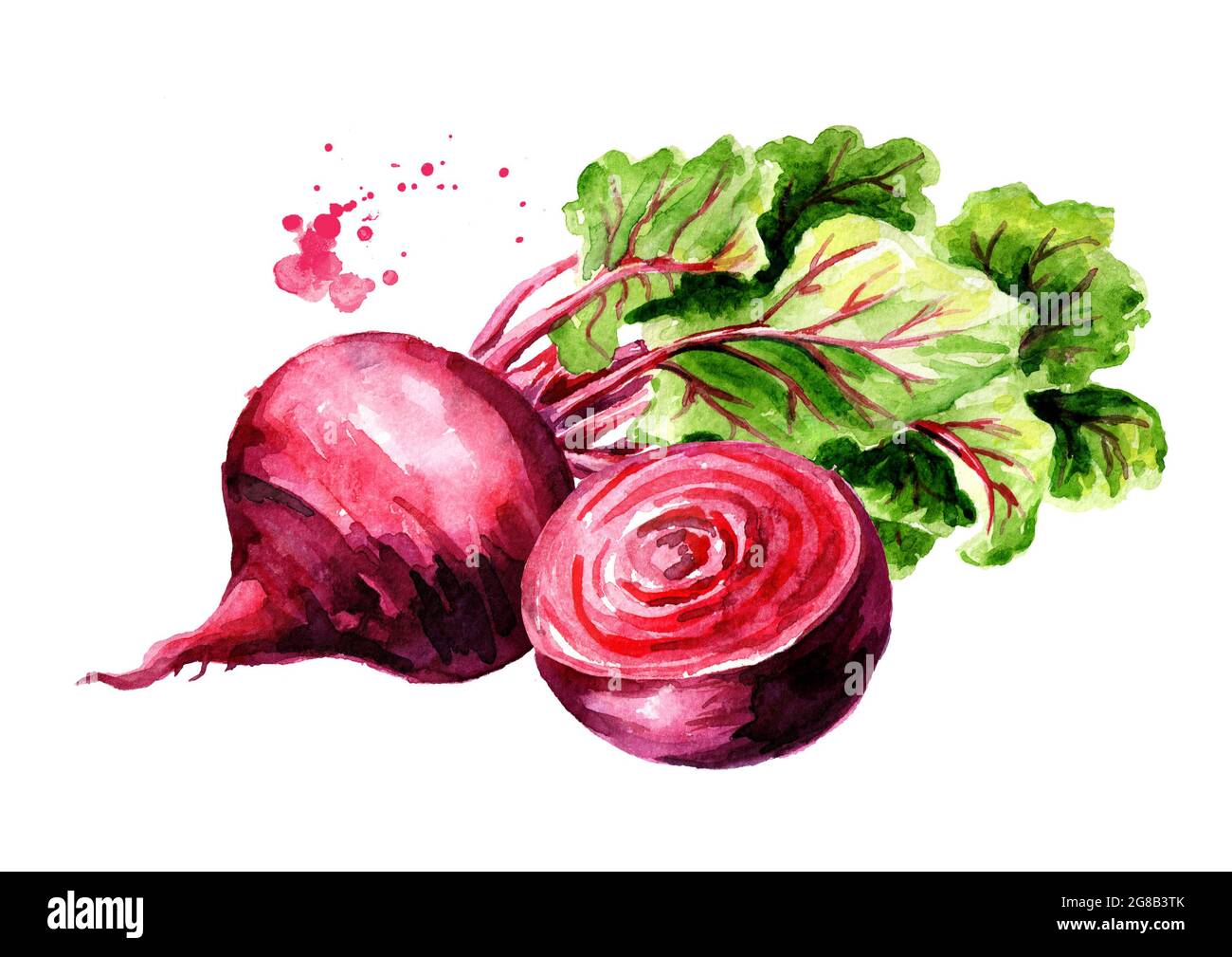 Fresh whole and half Beet root with green leaves. Watercolor hand drawn ...