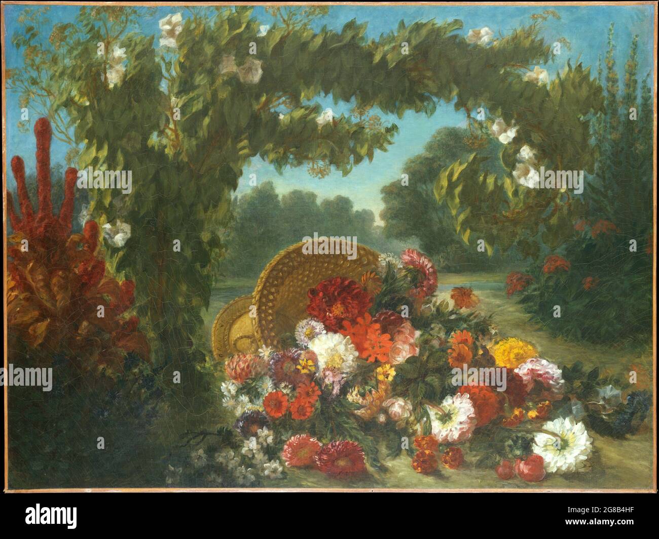 vintage, retro, old, photograph, century, botany, graphics, antique ...