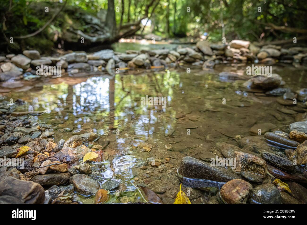 Stone dam in a clear water creek at Vogel State Park in the ...