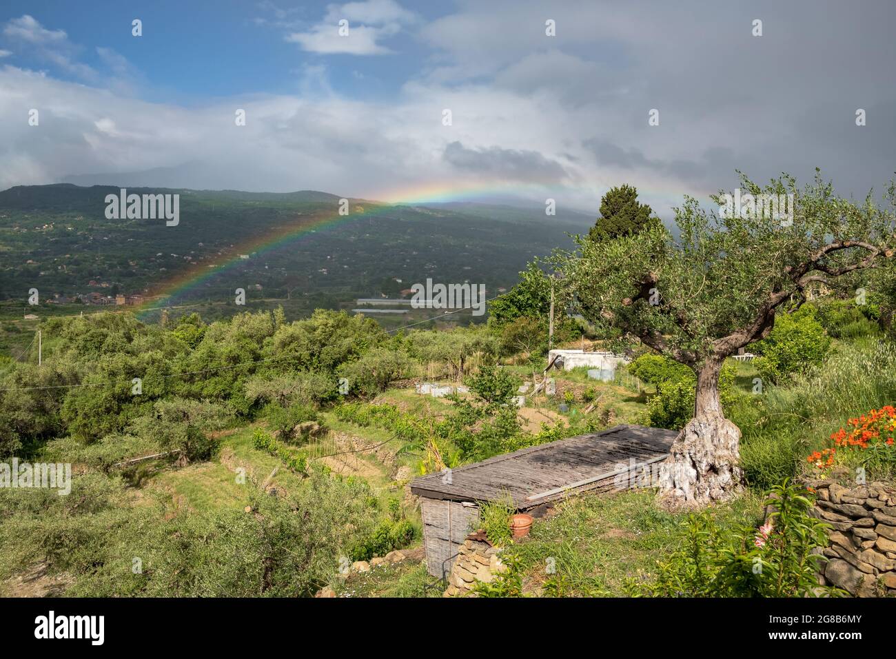 Rainbow in the sky over a vegetable garden and olive trees in Sicily ...