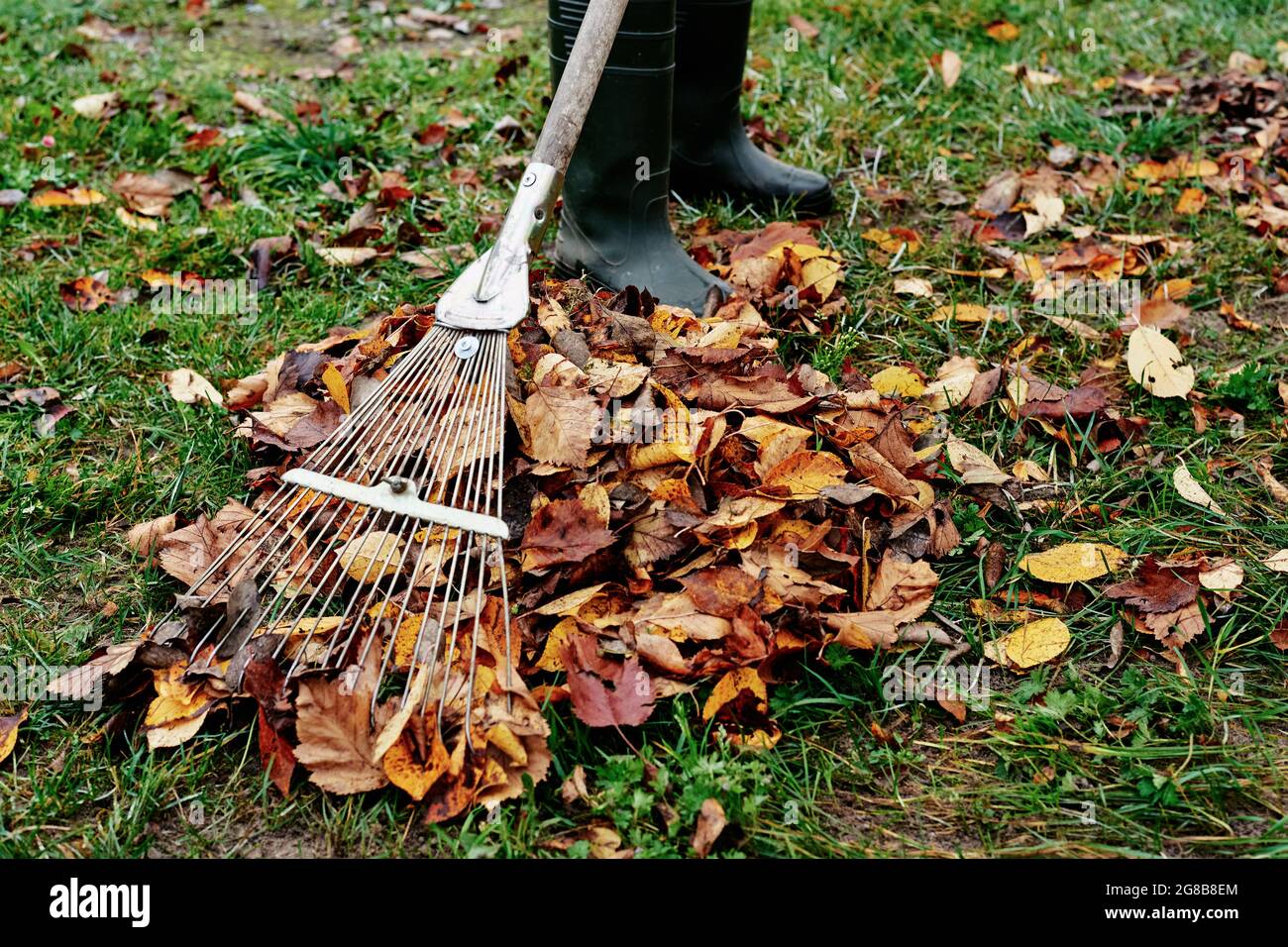 Yard cleanup hi-res stock photography and images - Alamy