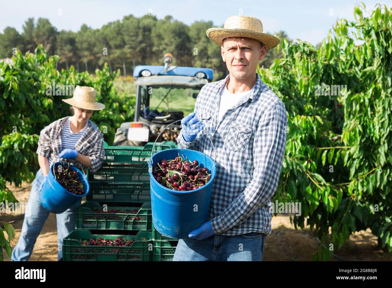 Man carrying bucket farm hi-res stock photography and images - Alamy