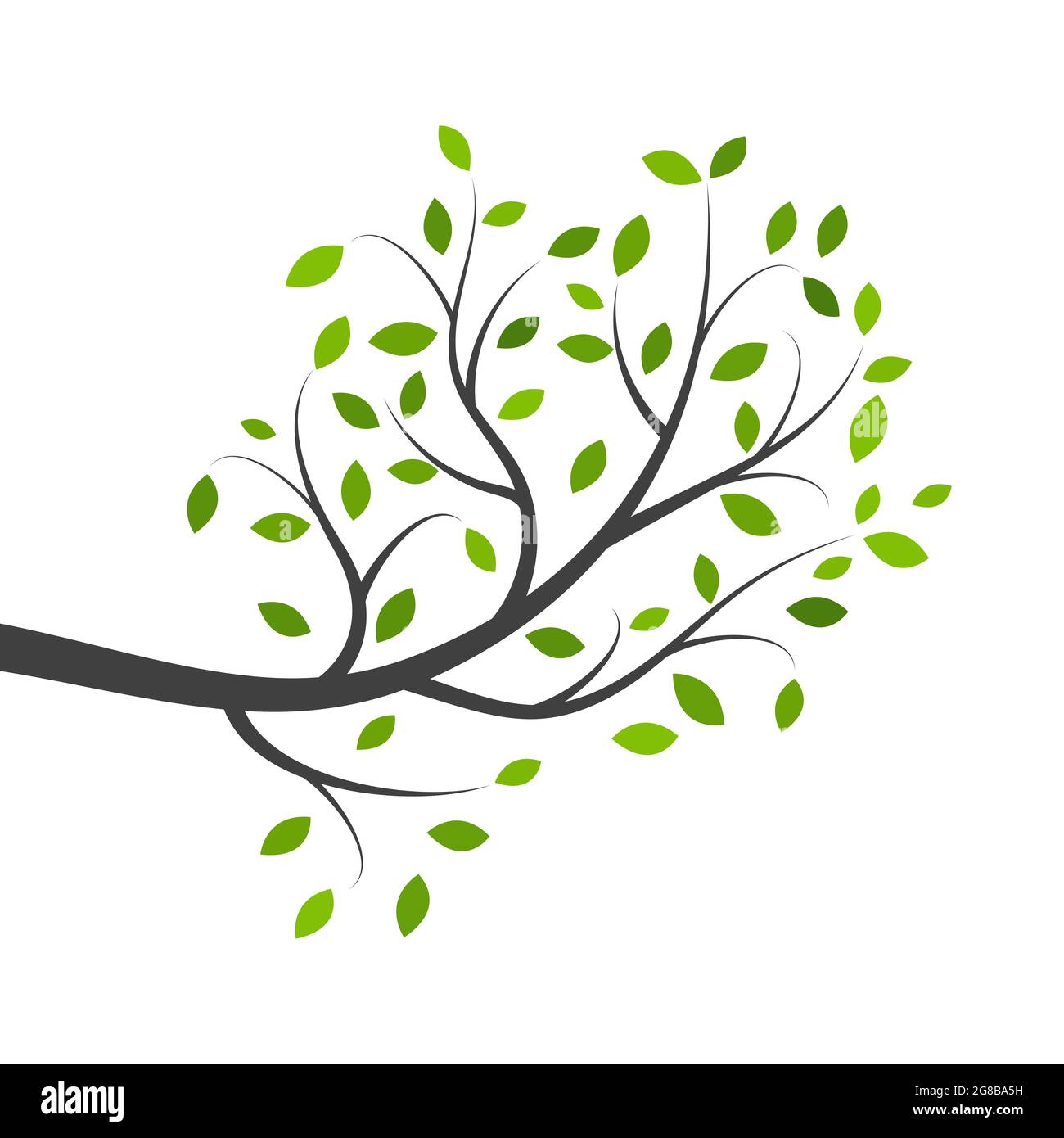 tree branch vector ilustration design template Stock Vector Image & Art ...
