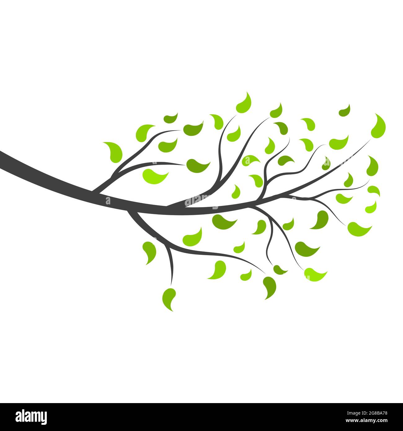 tree branch vector ilustration design template Stock Vector Image & Art ...