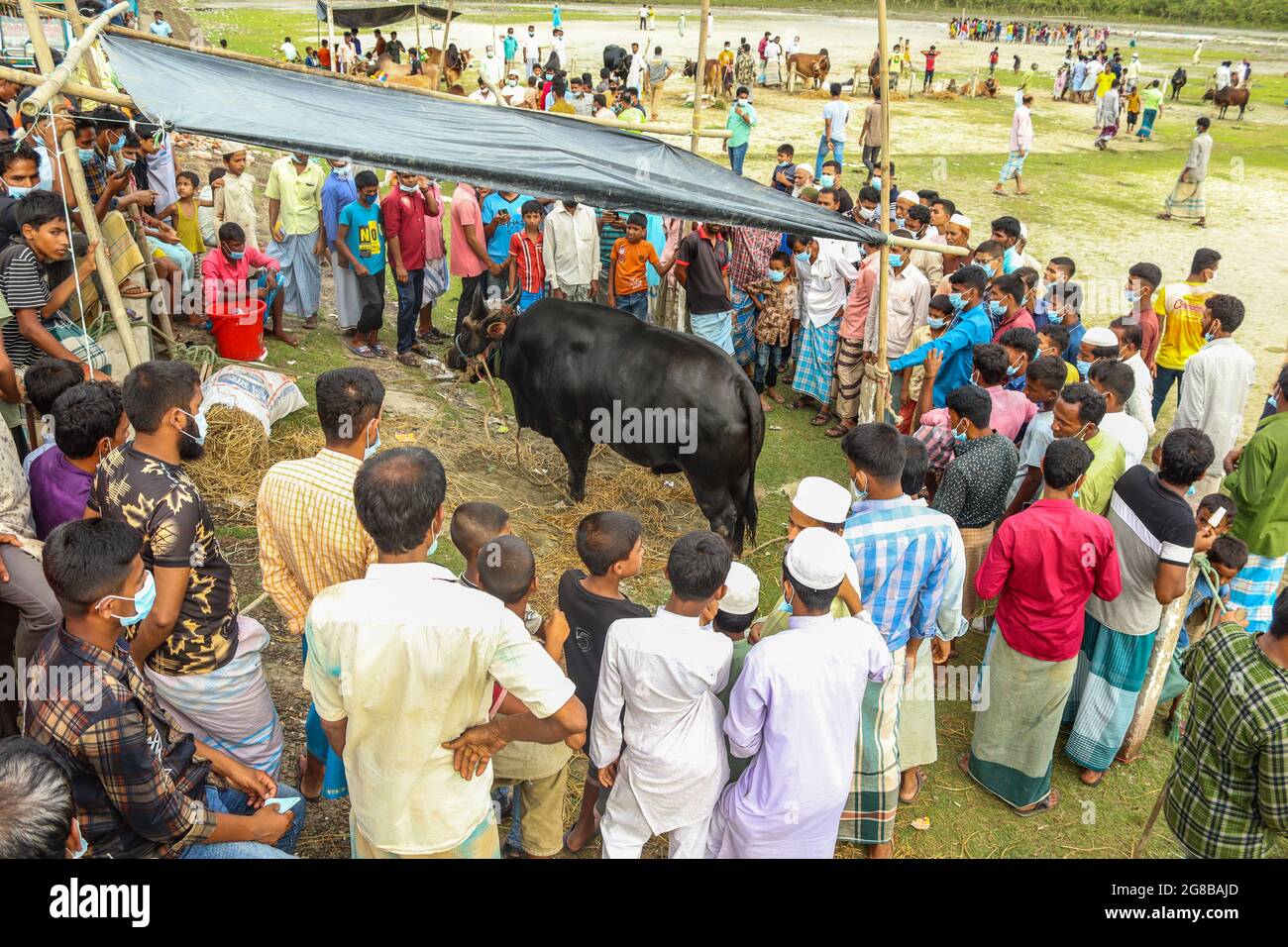 People gathered to see the biggest cow of the market. This is the first ...