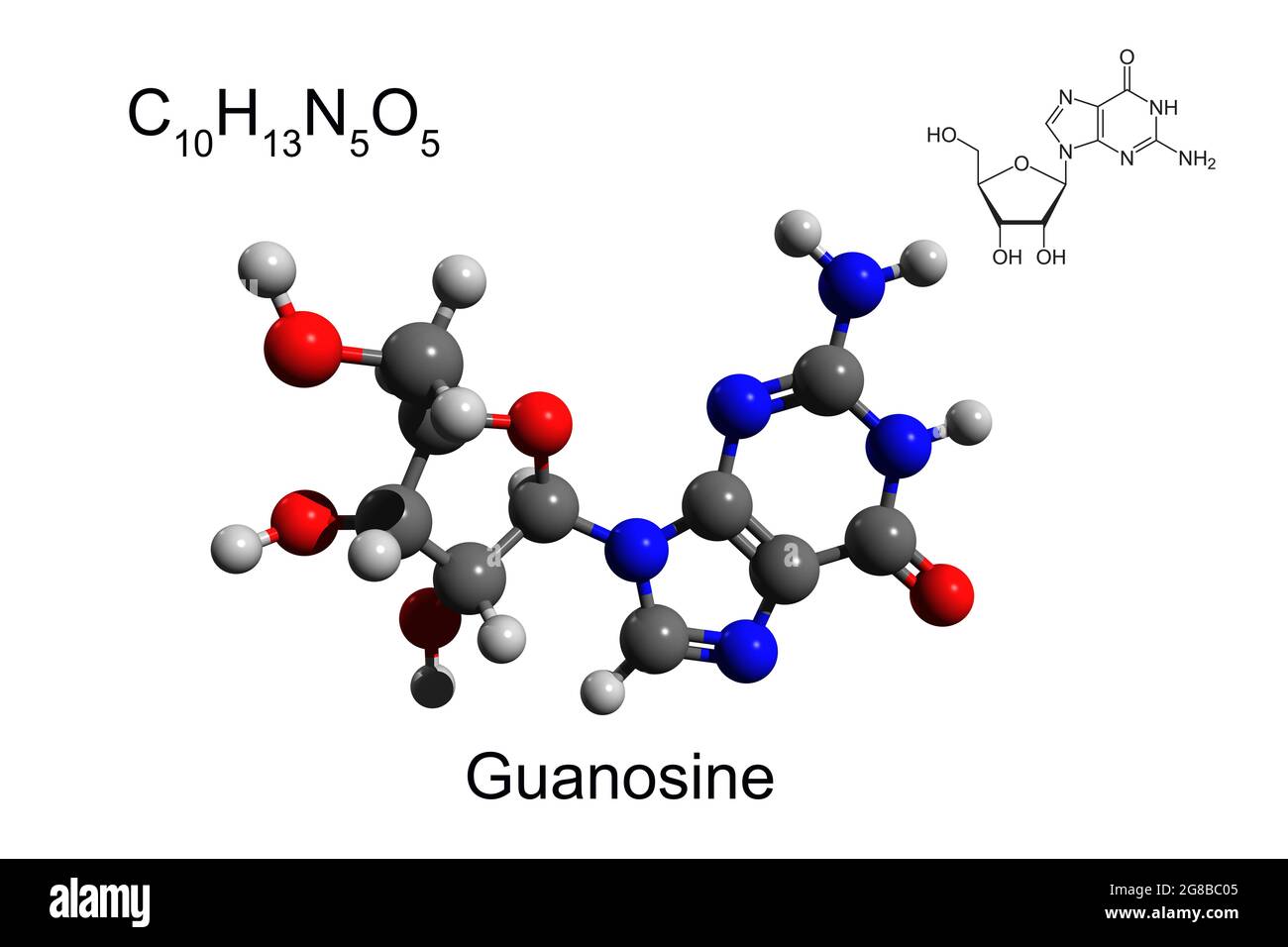 Nucleotide Model 3d