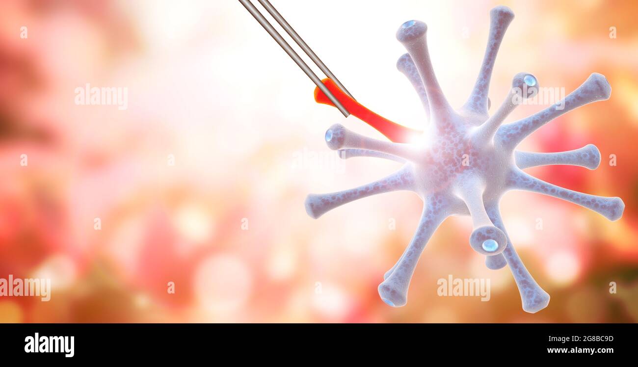 Replacing a virus section. Artificial modification of the virus ...