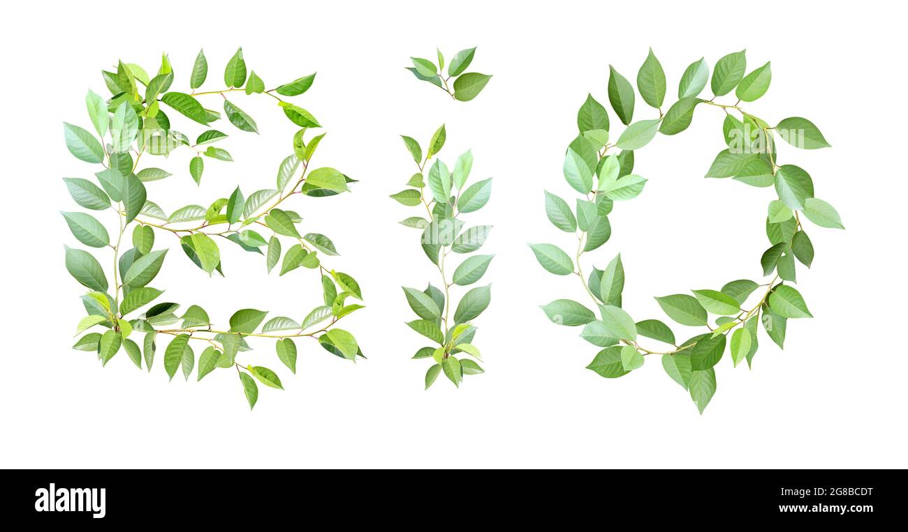 Bio and ecology concept. Word BIO made from branches with green leaves ...