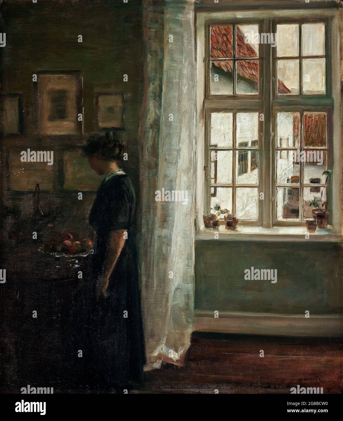 vintage, retro, old, photograph, century, botany, graphics, antique ...