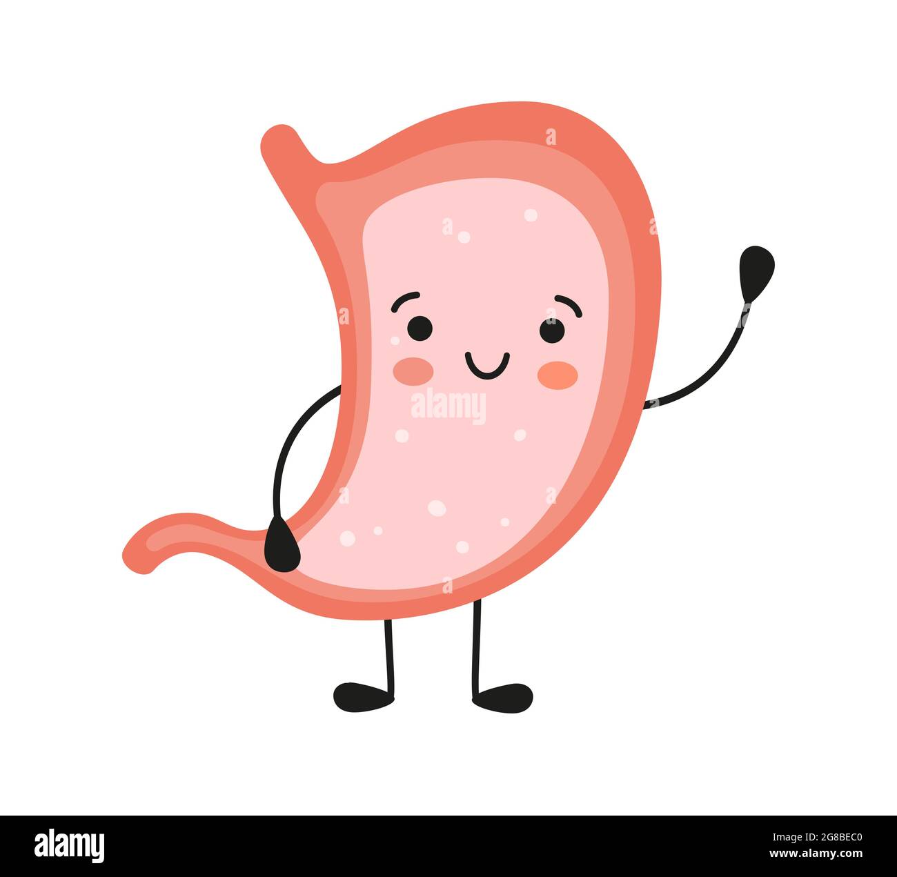 Smiling Cute Stomach Character Symbol Of A Healthy Stomach Vector