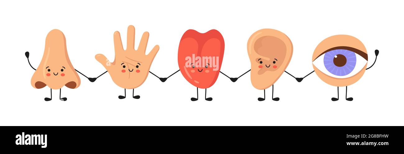 Five human senses organs kawaii characters set. Nose, ear, hand, tongue ...