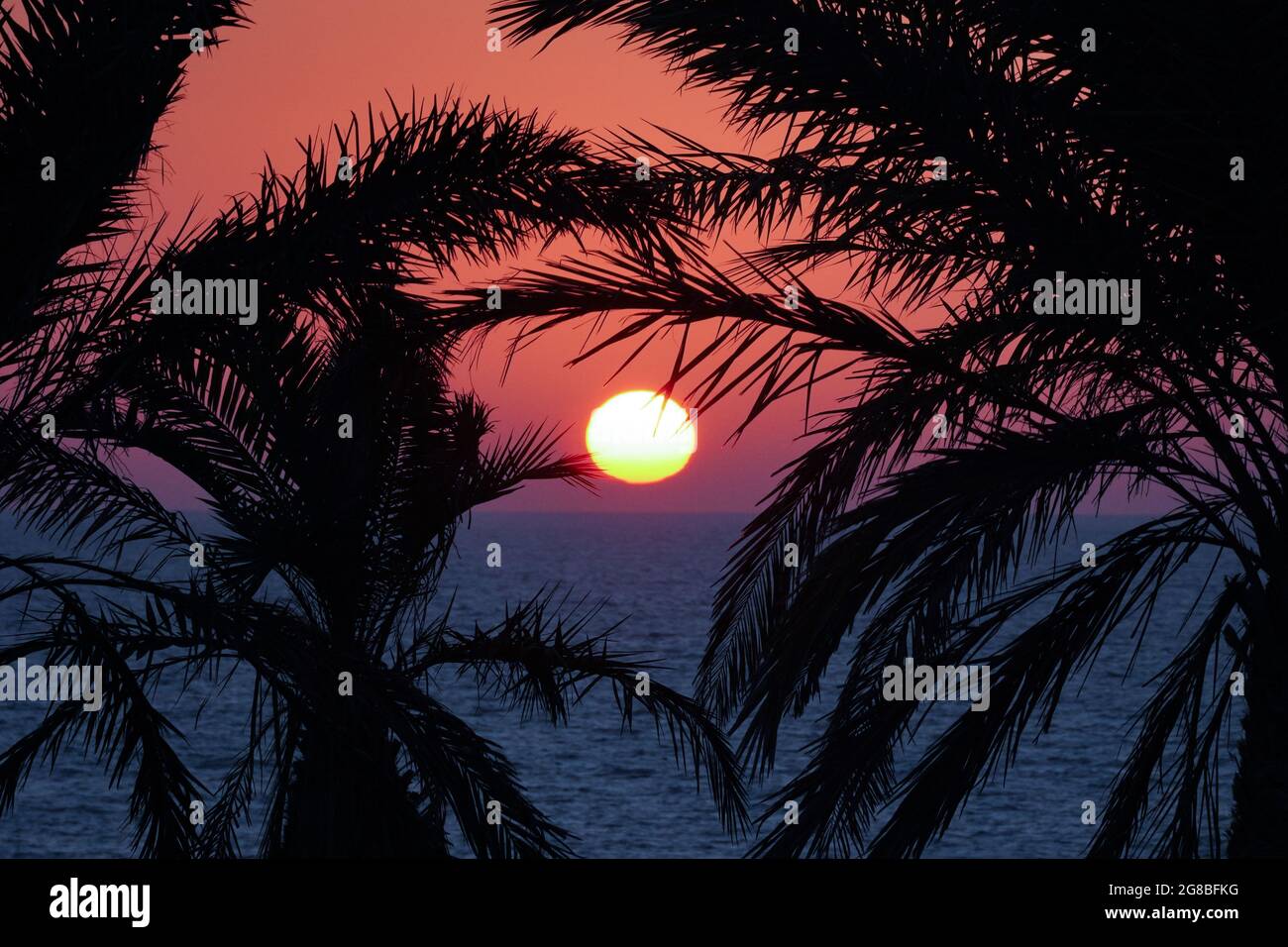 Disovery nature hi-res stock photography and images - Alamy