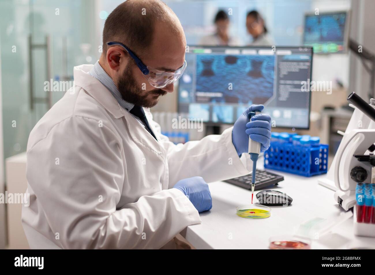 Scientist dropping blood sample with micropipette on petri dish in ...