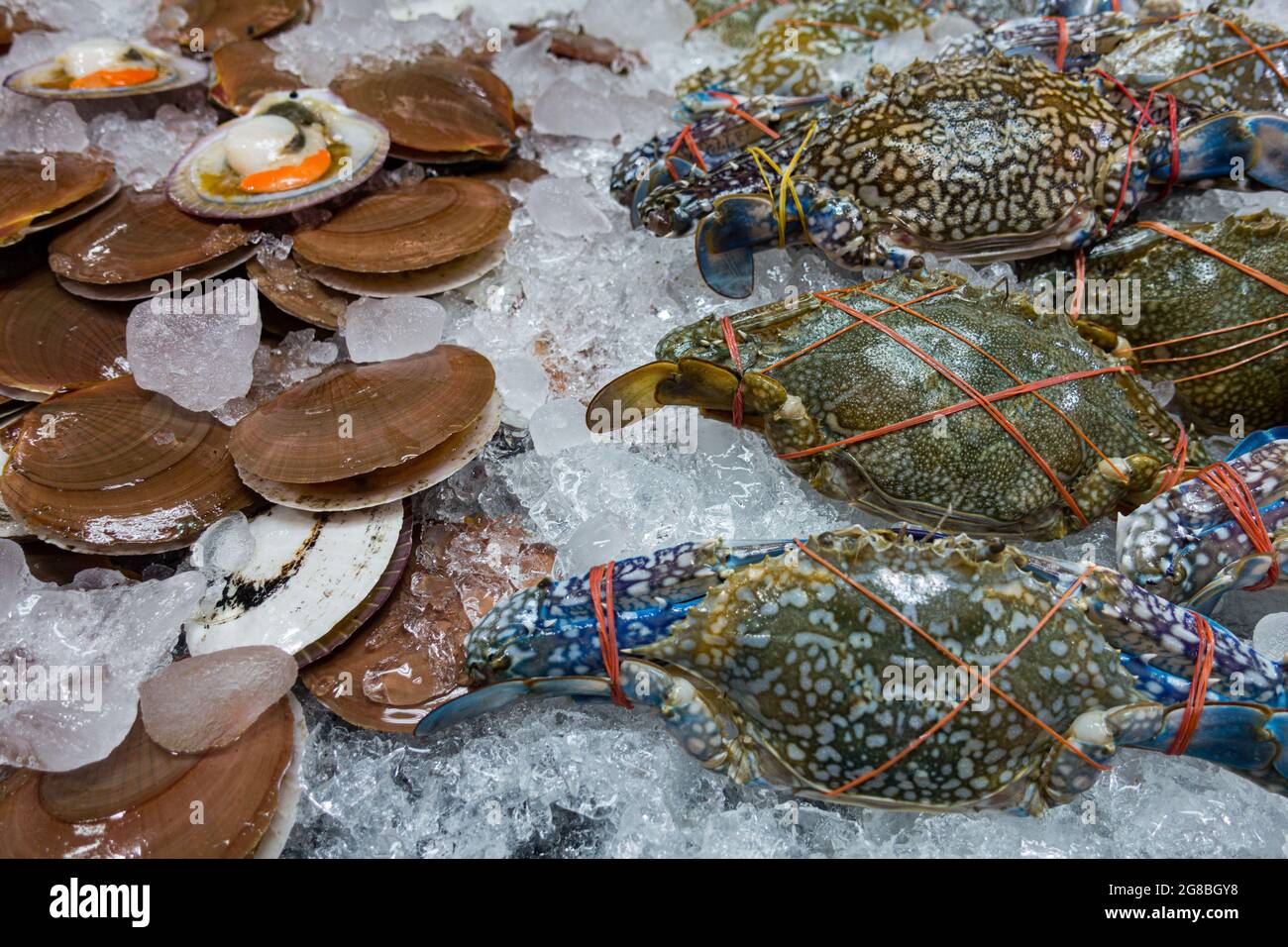 Ice scallop hi-res stock photography and images - Alamy