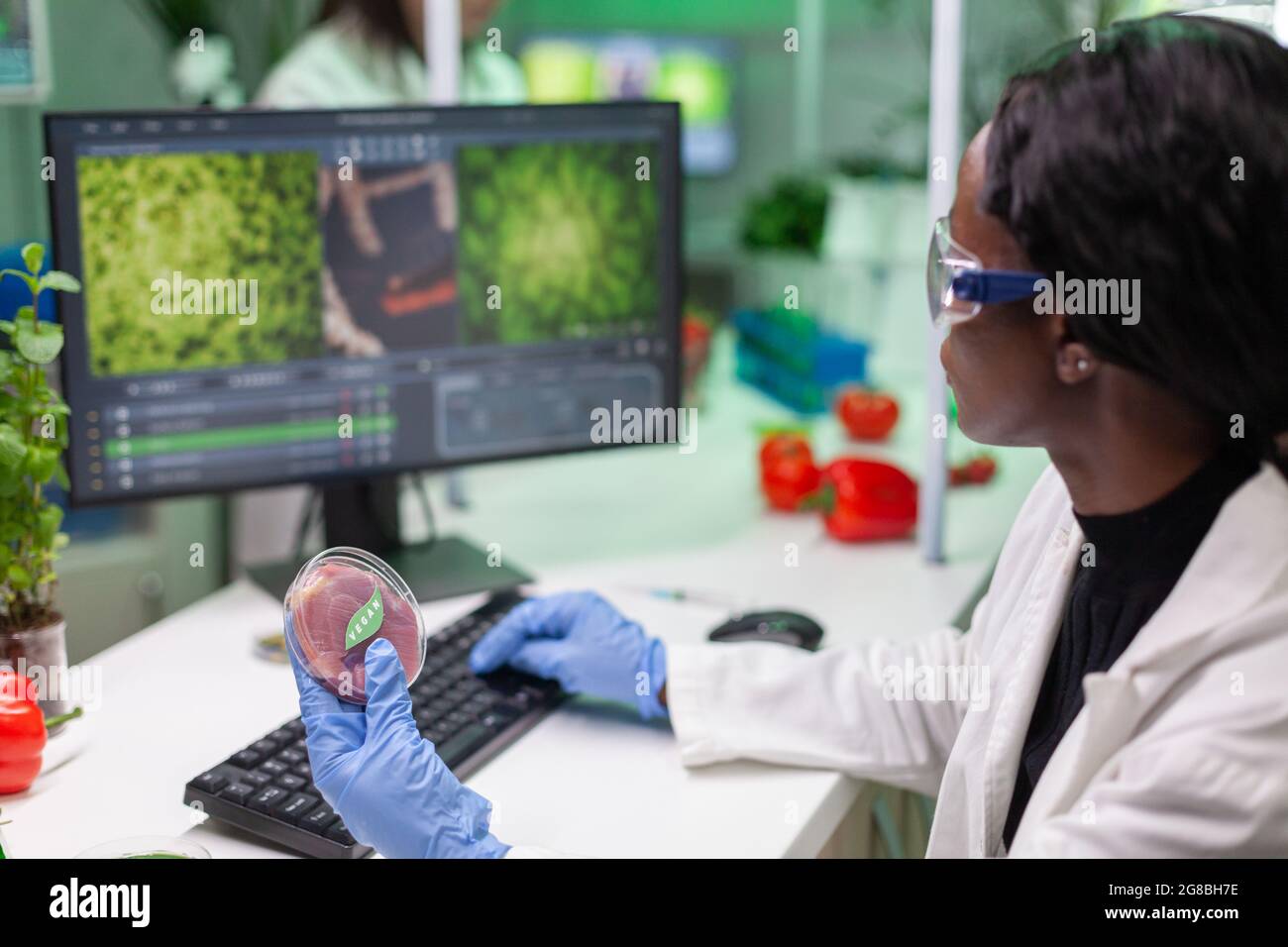 African chemist researcher holding petri dish with vegan meat in hands ...