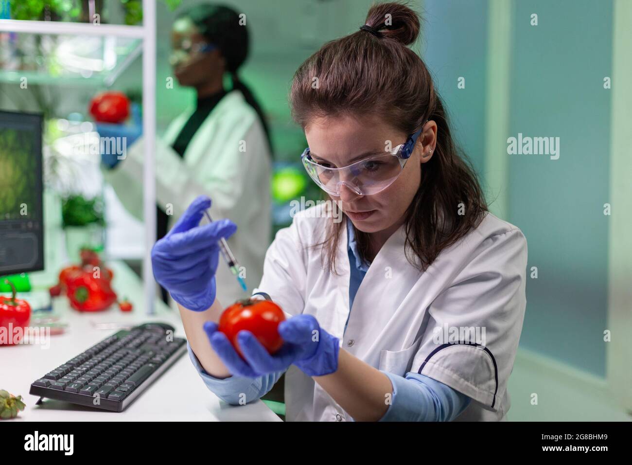 Scientist chemist injecting tomato with pesticides using medical ...