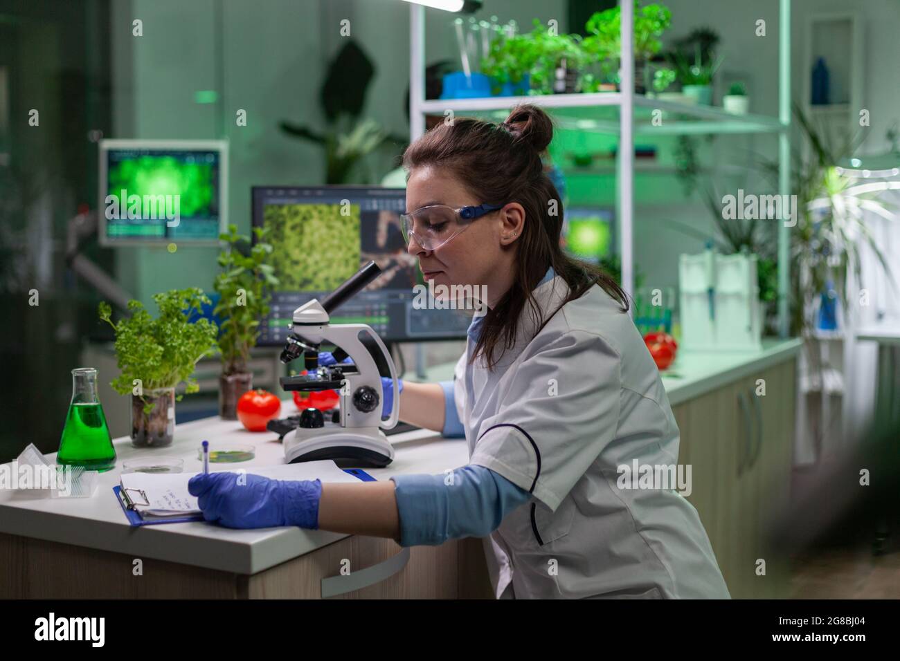 Biologist scientist looking at leaf sample using medical microscope ...