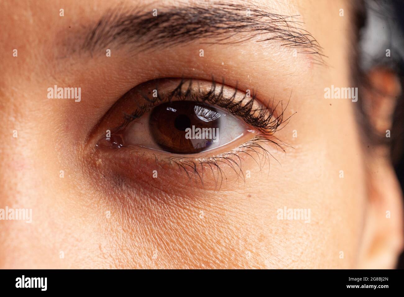 Close up of feminine eye with eyelashes and eyebrows sight details ...