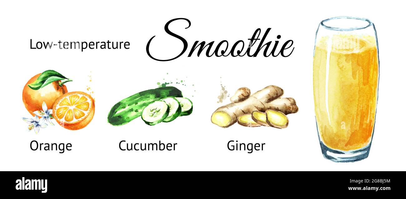 Low-temperature smoothie with orange, cucumber and ginger. Watercolor ...