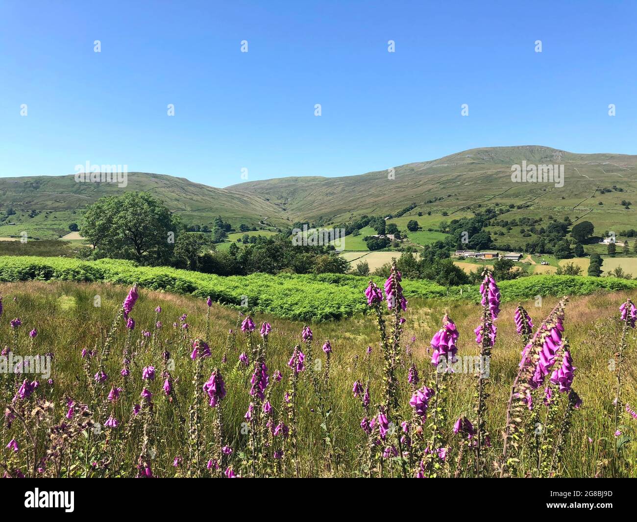 Climbing whernside hi-res stock photography and images - Alamy