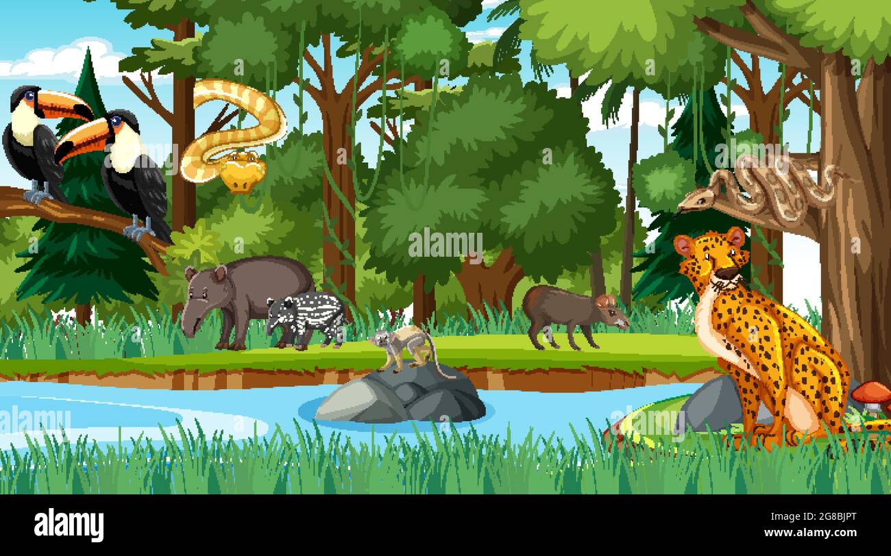 All Animals In One Picture In Forest