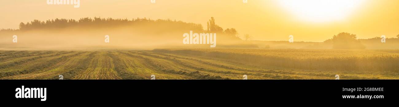 Fog over corn field hi-res stock photography and images - Alamy