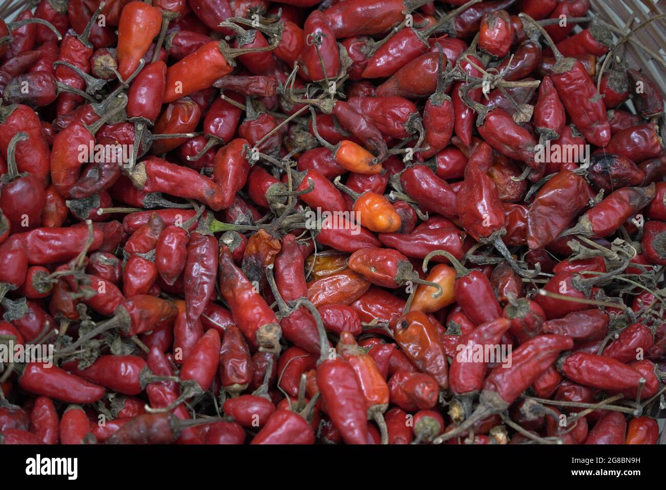 Peppers ghost hi-res stock photography and images - Alamy
